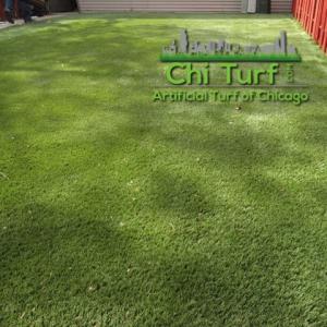 Chi Turf | Order Form